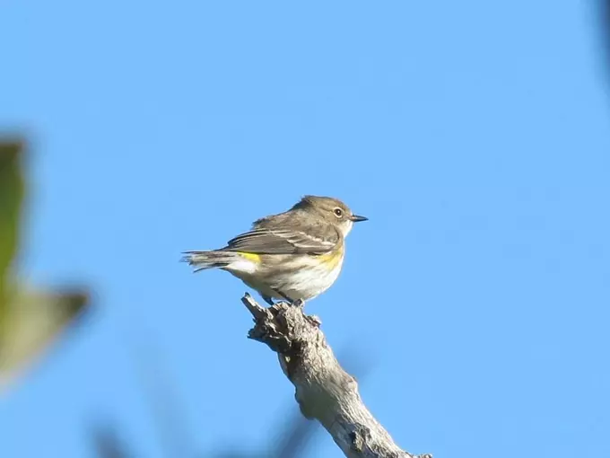 moccasin lake nature park 4