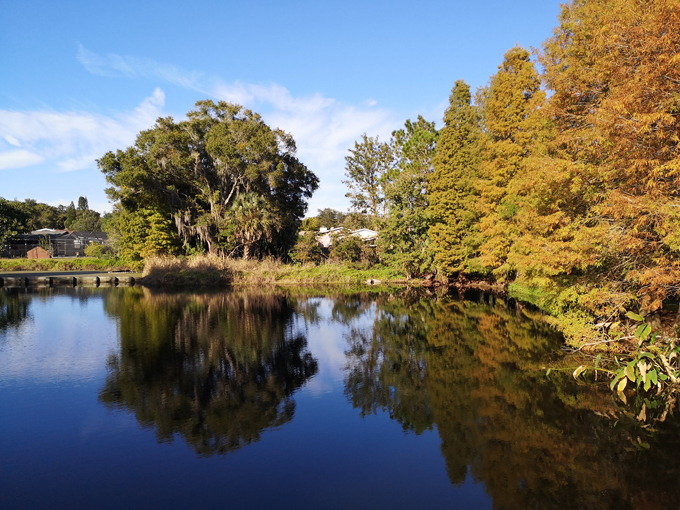 moccasin lake nature park 9