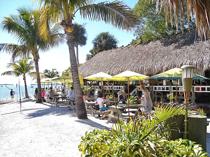 O'Leary's Tiki Bar & Grill 1