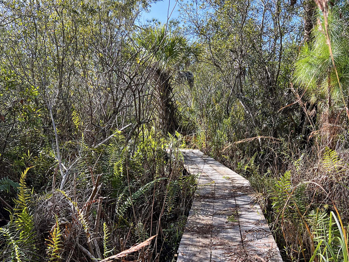 oakland nature preserve 3