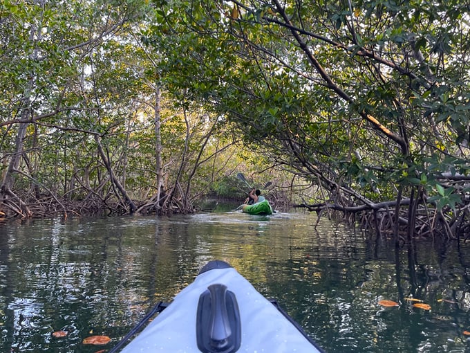 oleta river state park 3