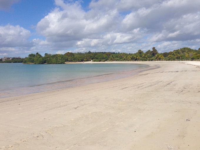 oleta river state park 6