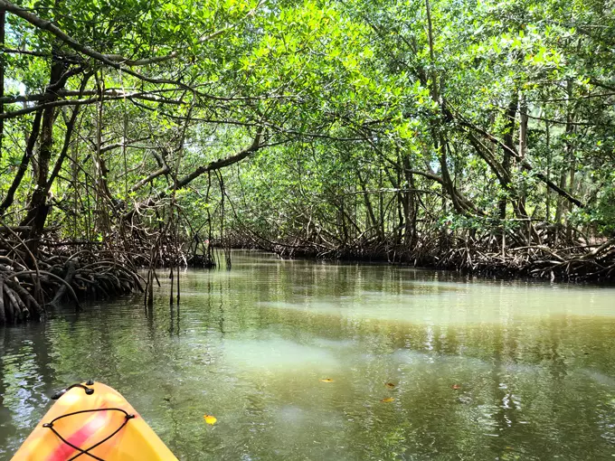 oleta river state park 7