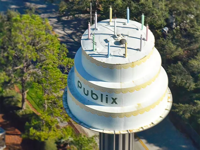 publix cake water tower 1