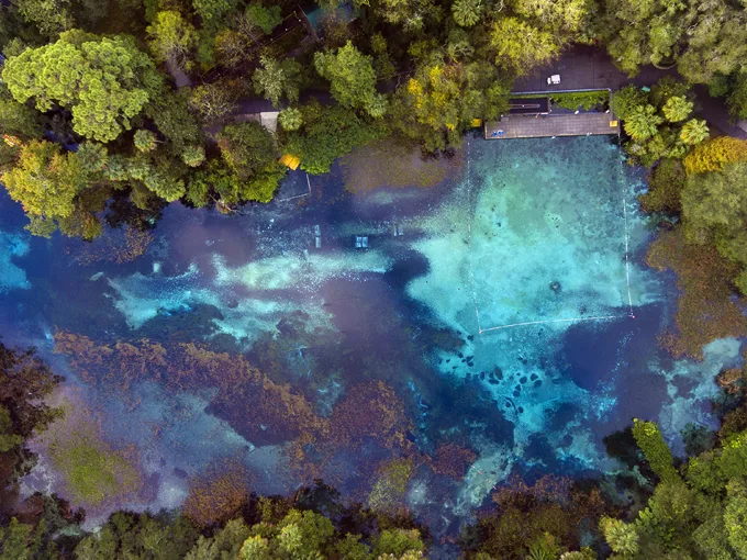 rainbow springs state park 1