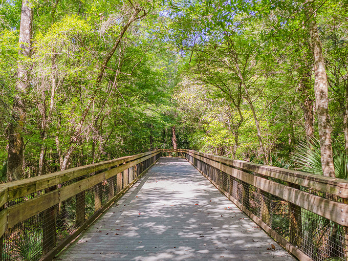 Rainbow Springs State Park 2