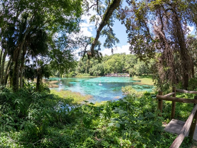 Rainbow Springs State Park 3