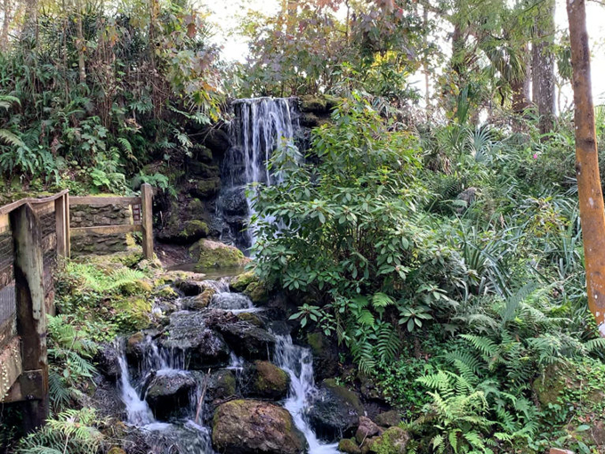 Rainbow Springs State Park 3