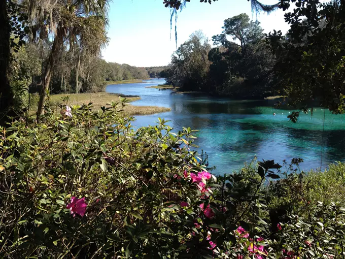Rainbow Springs State Park 4