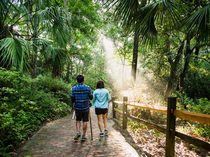 Rainbow Springs State Park 4