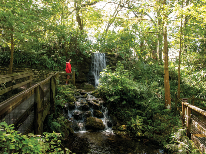 Rainbow Springs State Park 7