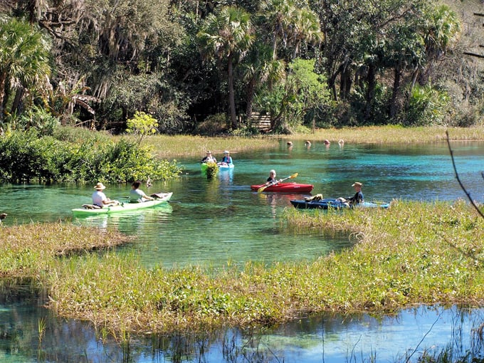 Rainbow Springs State Park 8