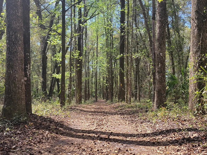 Rainbow Springs State Park 8