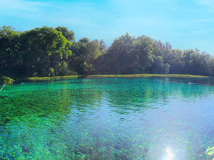 Rainbow Springs State Park 9