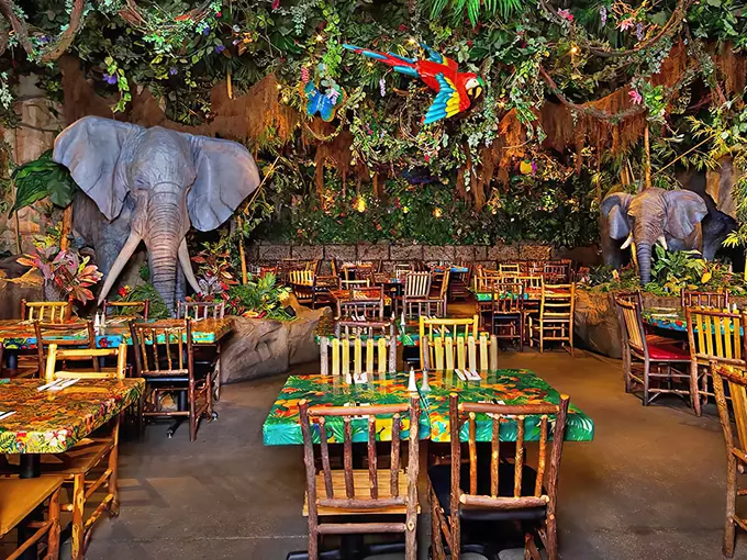 Rainforest Cafe 1