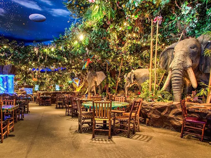 Rainforest Cafe 1