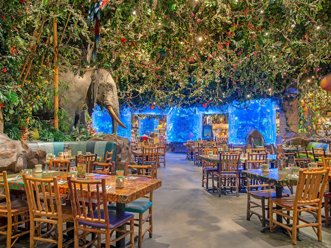 rainforest cafe 3