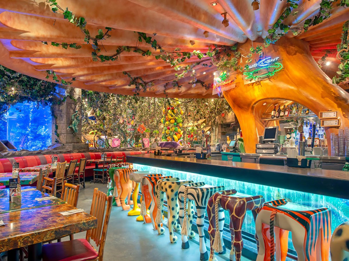 rainforest cafe 7