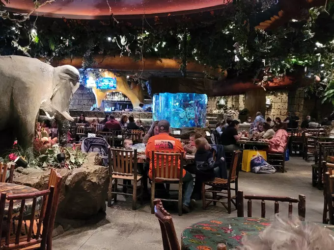 rainforest cafe 9