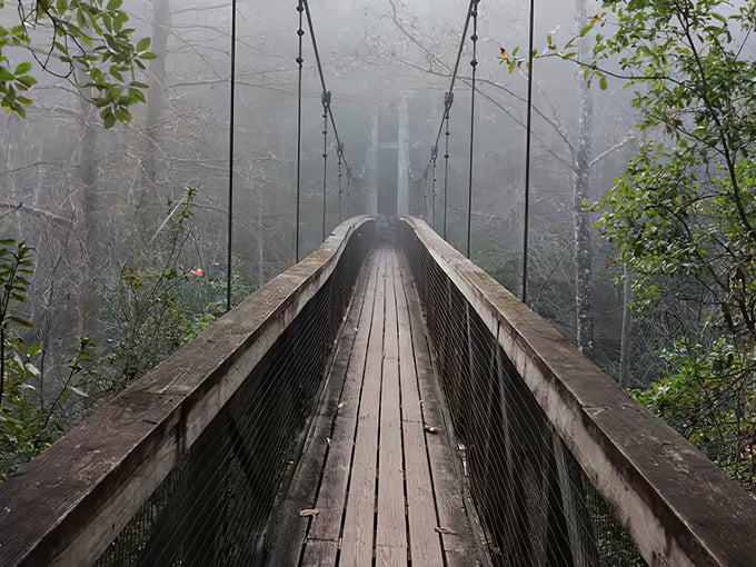 ravine gardens state park 1