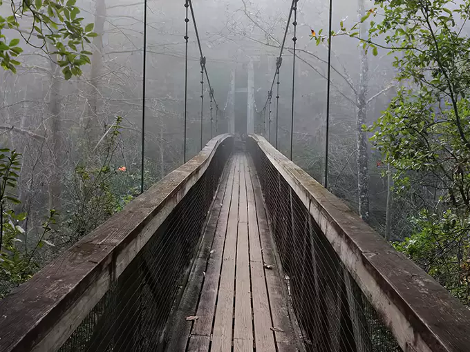 ravine gardens state park 1