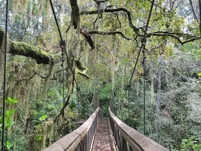 ravine gardens state park 1