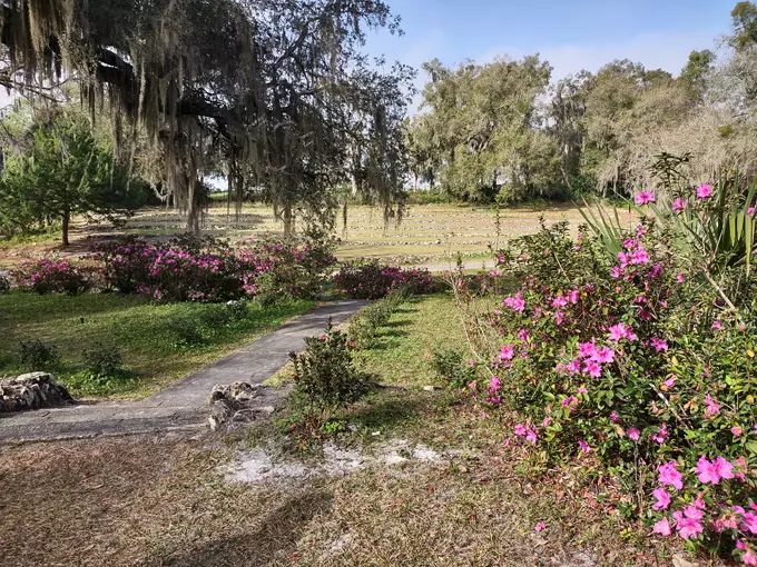 ravine gardens state park 3