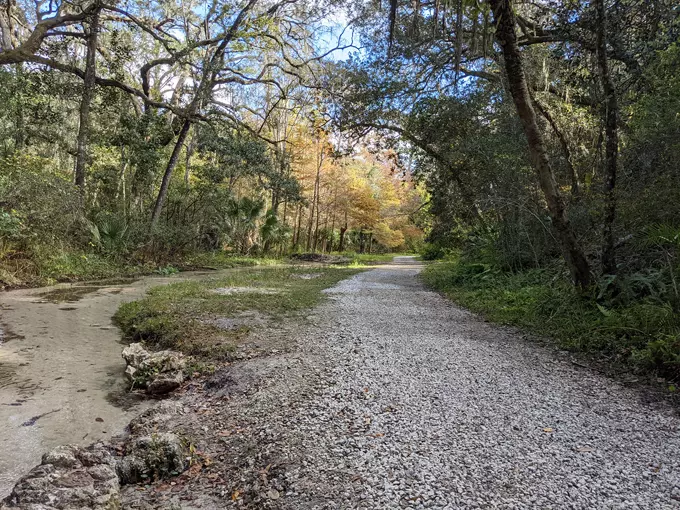 ravine gardens state park 5