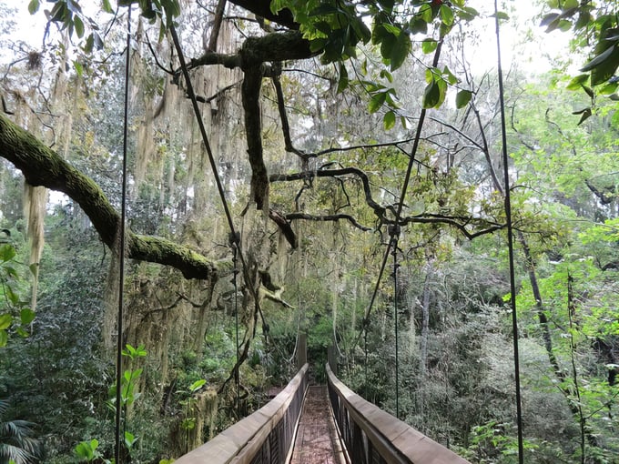 ravine gardens state park 7