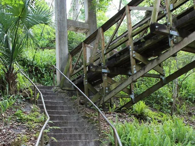 ravine gardens state park 8