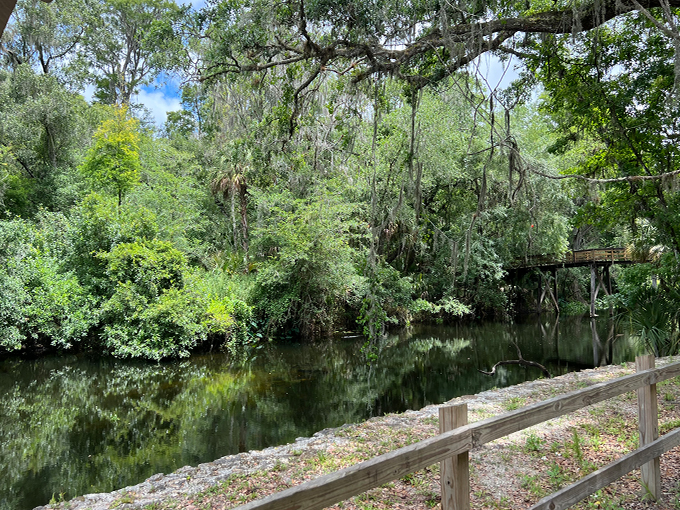 River Rapids Nature Trail 9