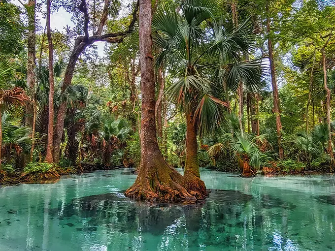 rock springs run 1