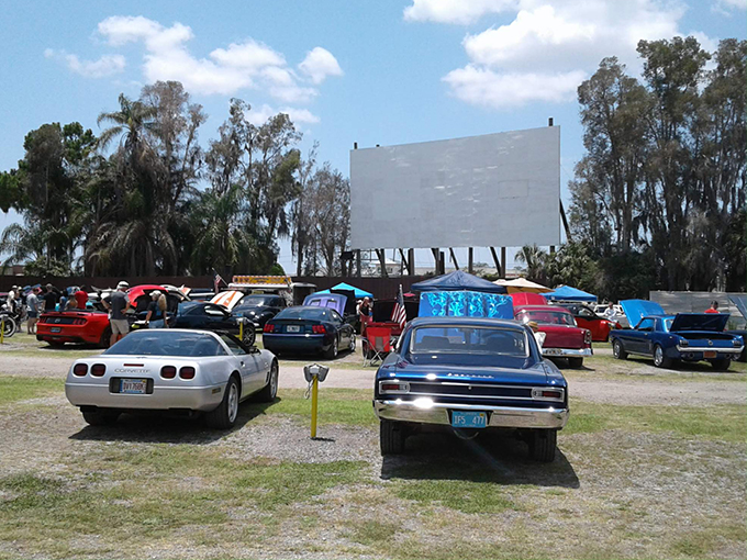 Ruskin Family Drive-In Theatre 5