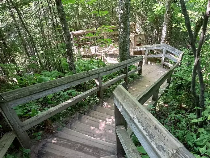 Sable Falls 2