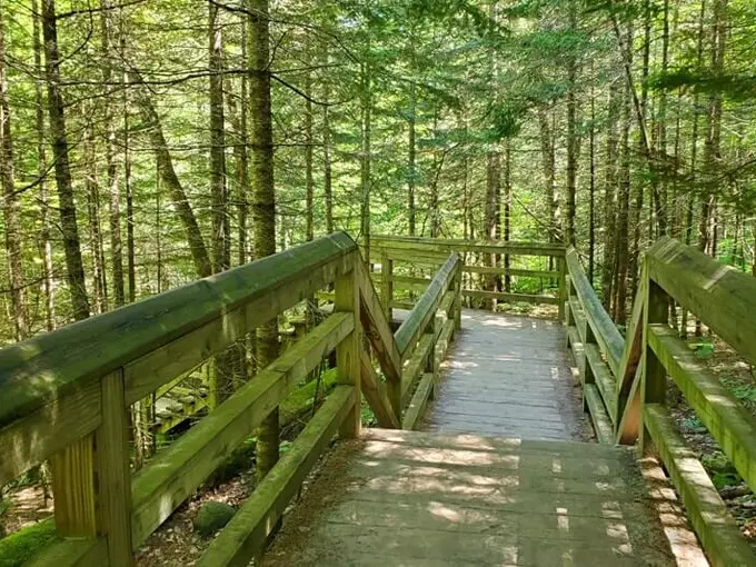 Sable Falls 4