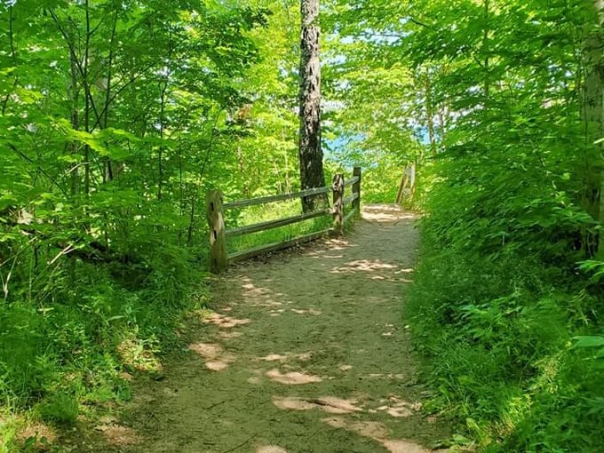 Sable Falls 8