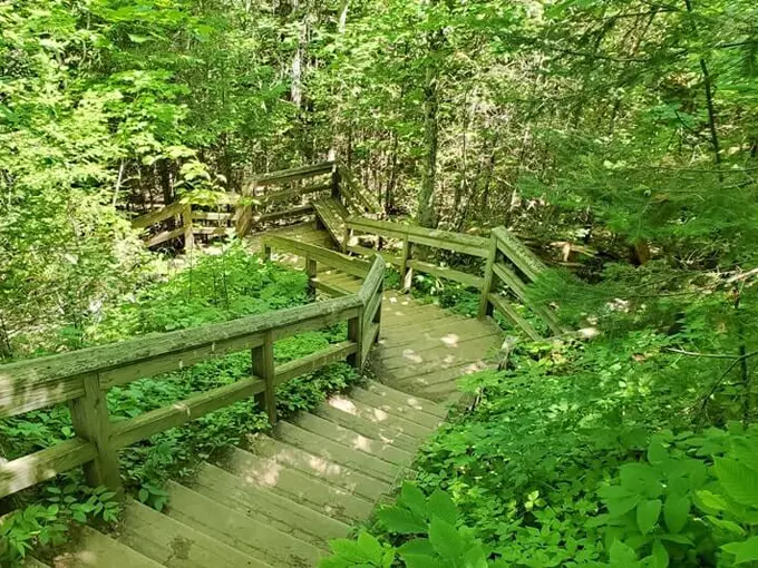 Sable Falls 9
