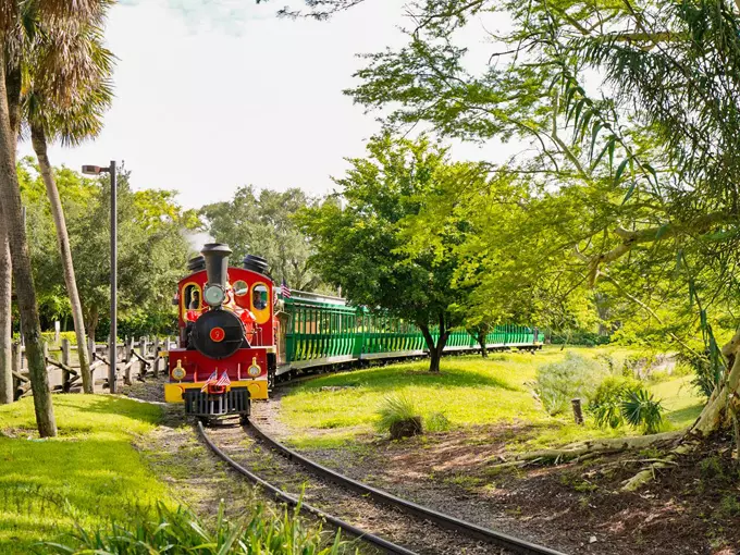 serengeti express 1