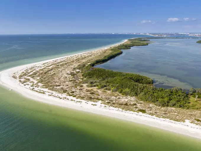 Shell Key Preserve 1