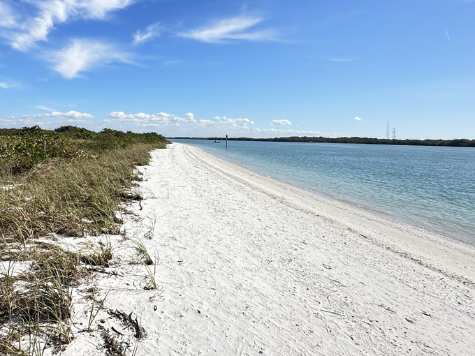 Shell Key Preserve 2