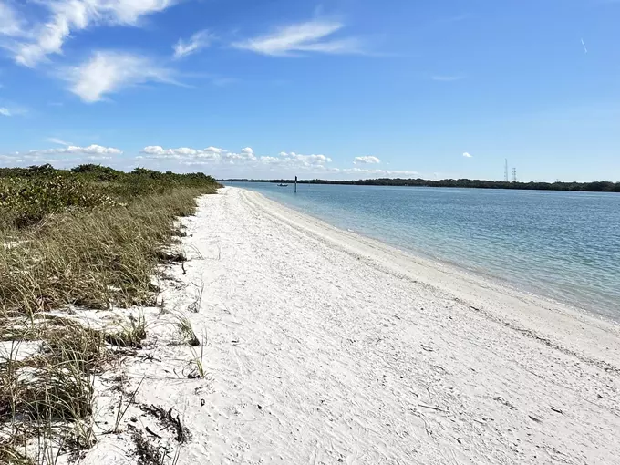 Shell Key Preserve 2