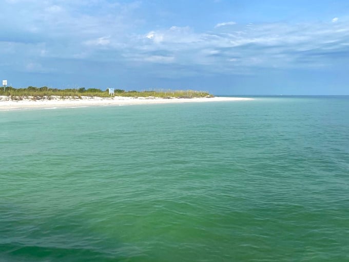 Shell Key Preserve 6