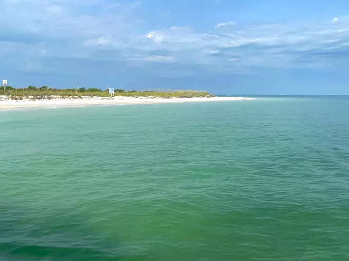 Shell Key Preserve 6