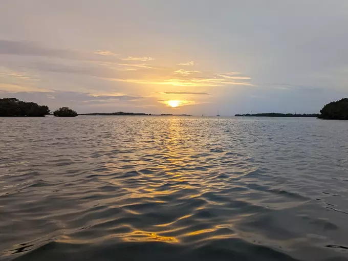 Shell Key Preserve 7