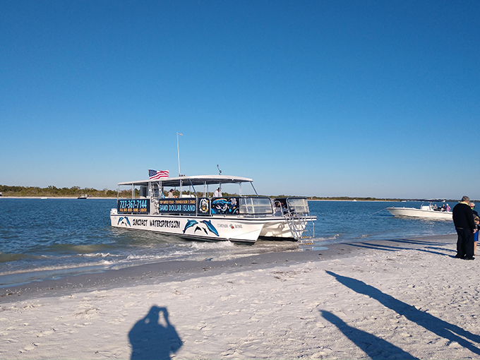 Shell Key Preserve 8