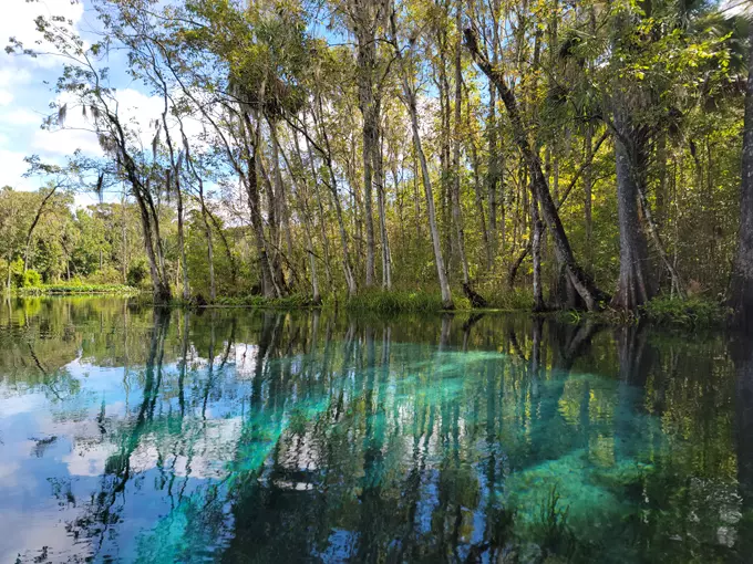 silver springs state park 2