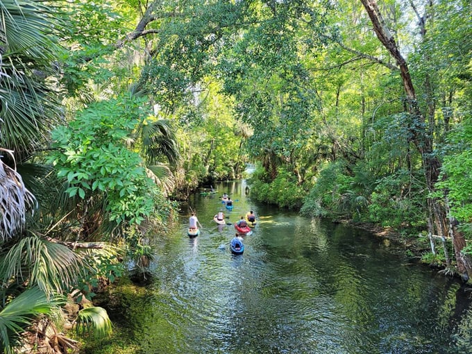 silver springs state park 3