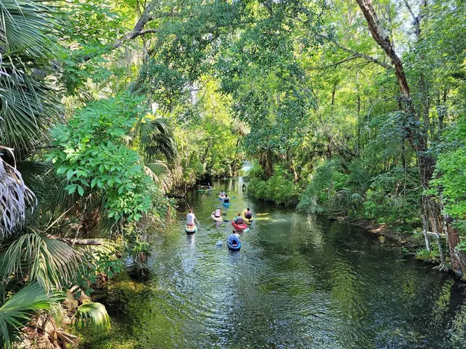 silver springs state park 3