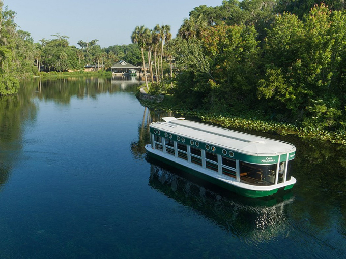 silver springs state park 4