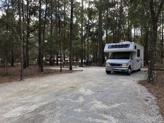 silver springs state park 8